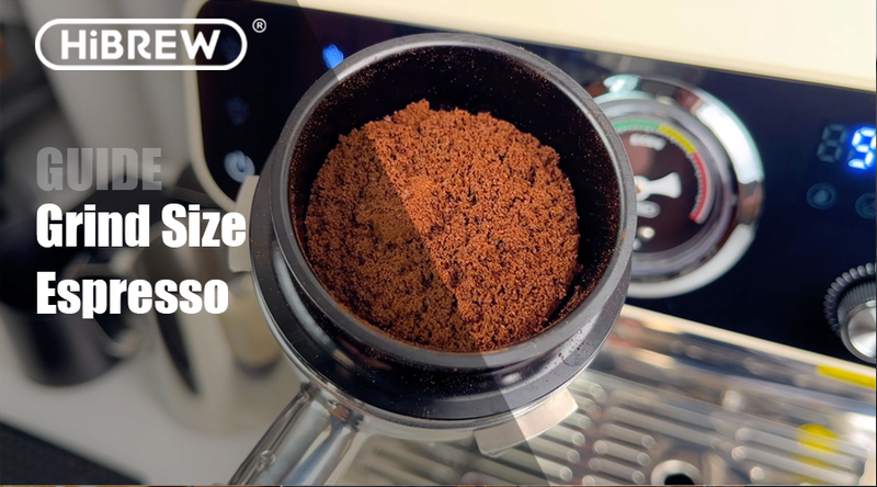 Espresso Grind Size Guide: How to Find the Perfect Grind Size for Espr