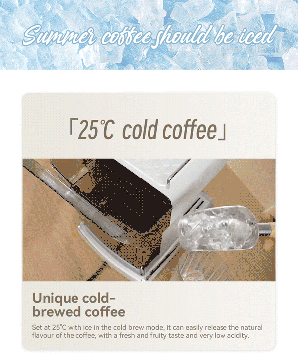 HiBREW Semi Automatic Espresso Coffee Machine H10Plus